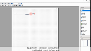 [Functionality] XReport Template Designer